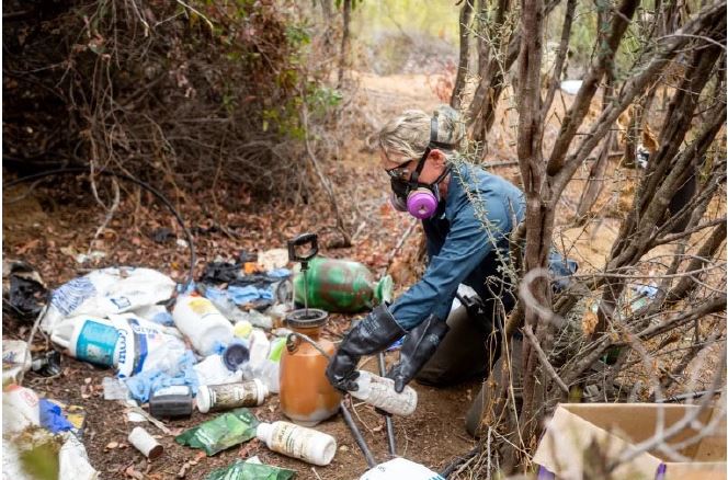 Chemical Shadows: Analyzing Illicit Production | Western Regional ...